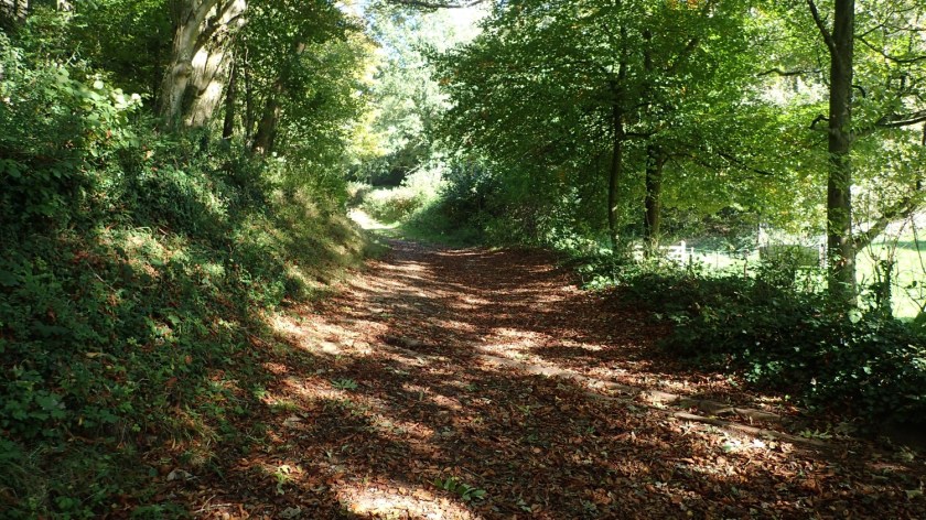 Goblin Combe: A Familiar Place – Walks With Olly