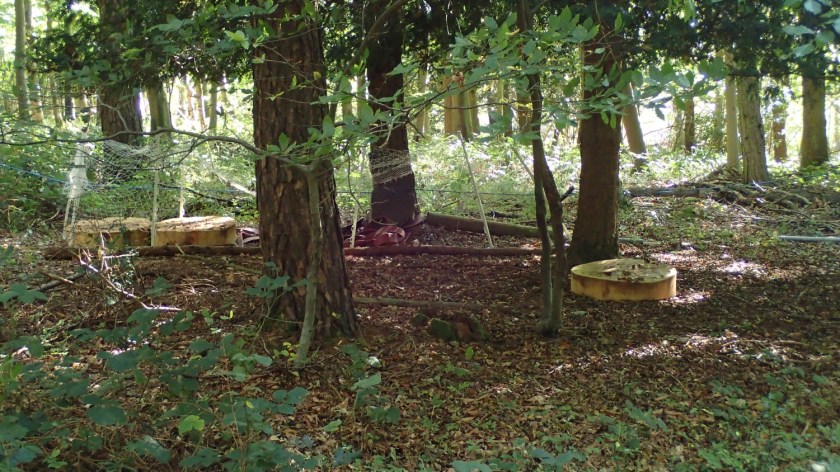 Goblin Combe: A Familiar Place – Walks With Olly