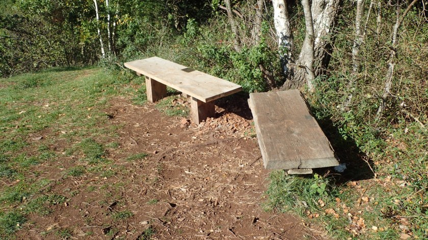 Goblin Combe: A Familiar Place – Walks With Olly