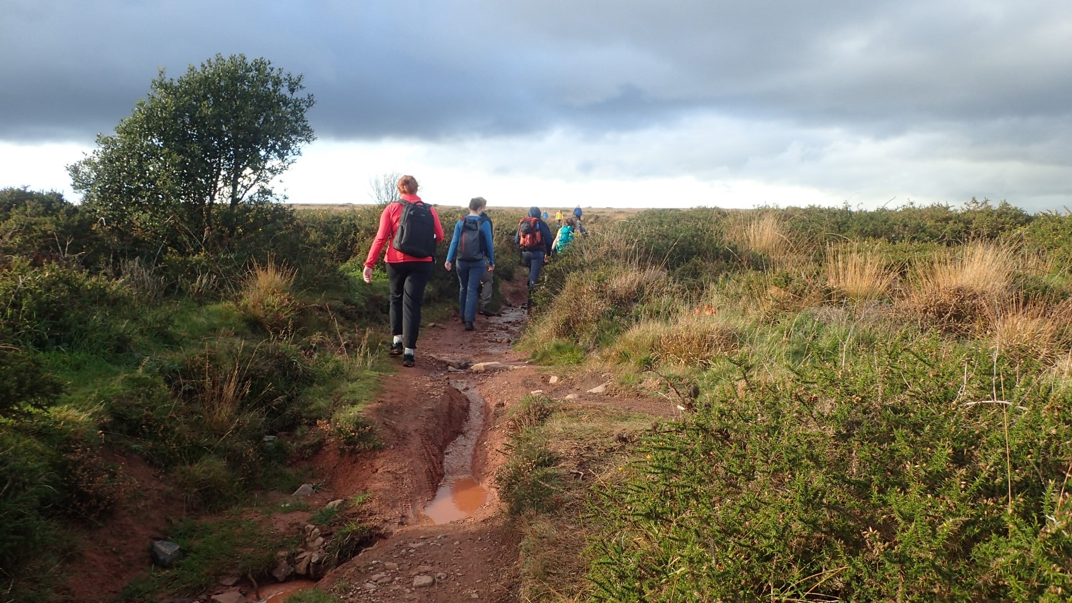 Monthly Miles: October 2020 – Walks With Olly