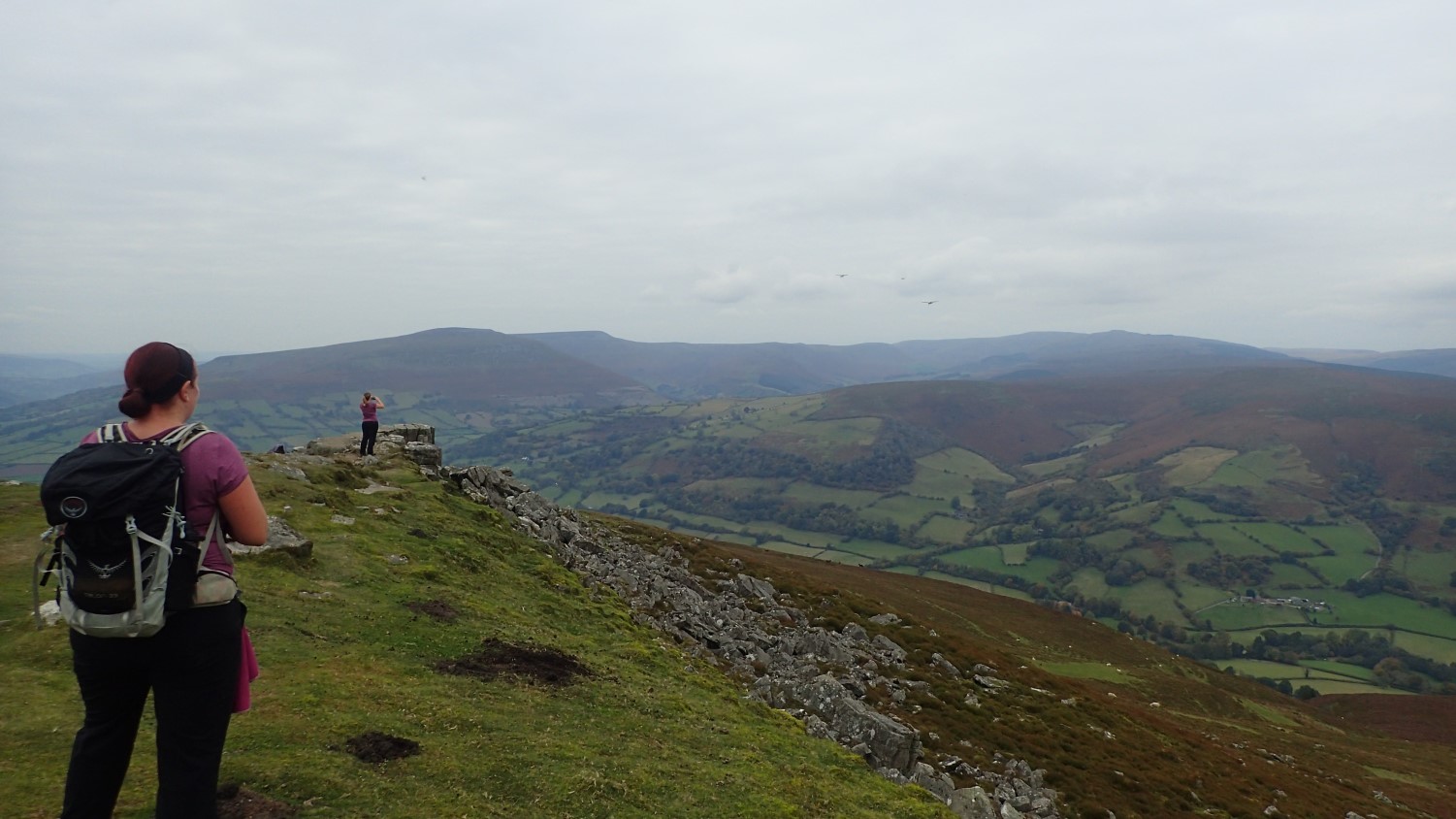 Monthly Miles: October 2020 – Walks With Olly