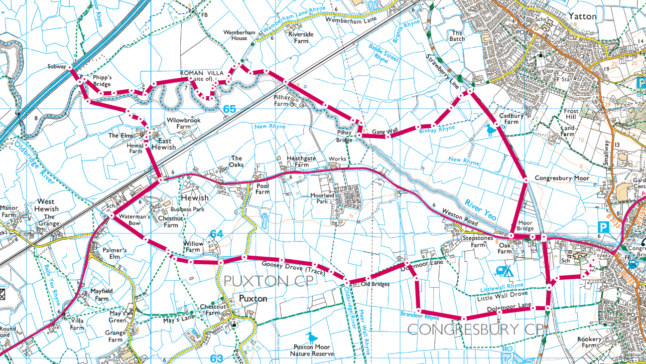 Walking the Congresbury Yeo – Walks With Olly