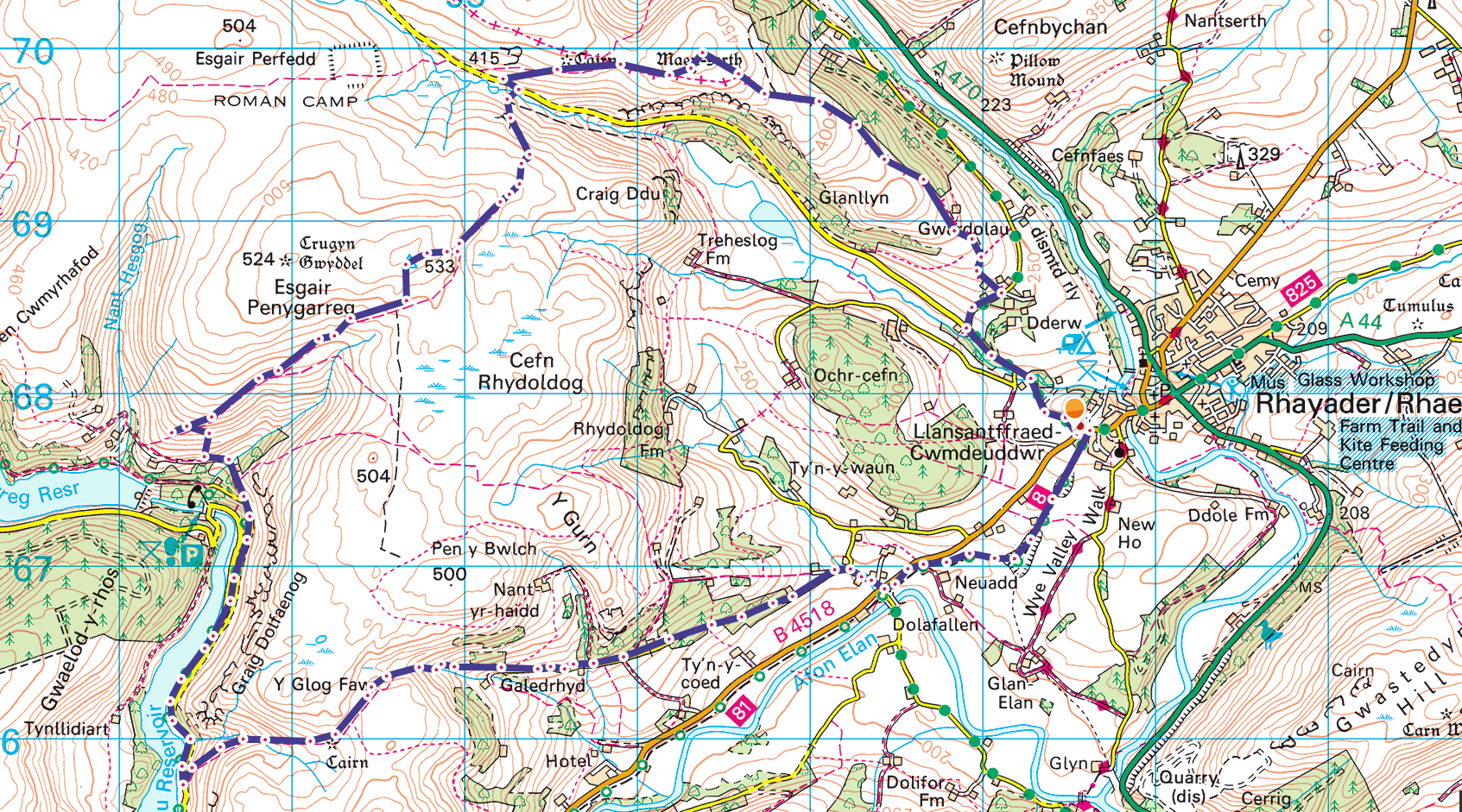 Elan Valley Loop – Walks With Olly